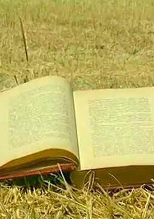 En un lugar de la Mancha... | Biblioteca Virtual Miguel de Cervantes